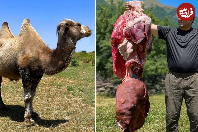 ویدئو پخت غذا با اسفناج و سیب زمینی توسط بانوی روستایی ارومیه ای در